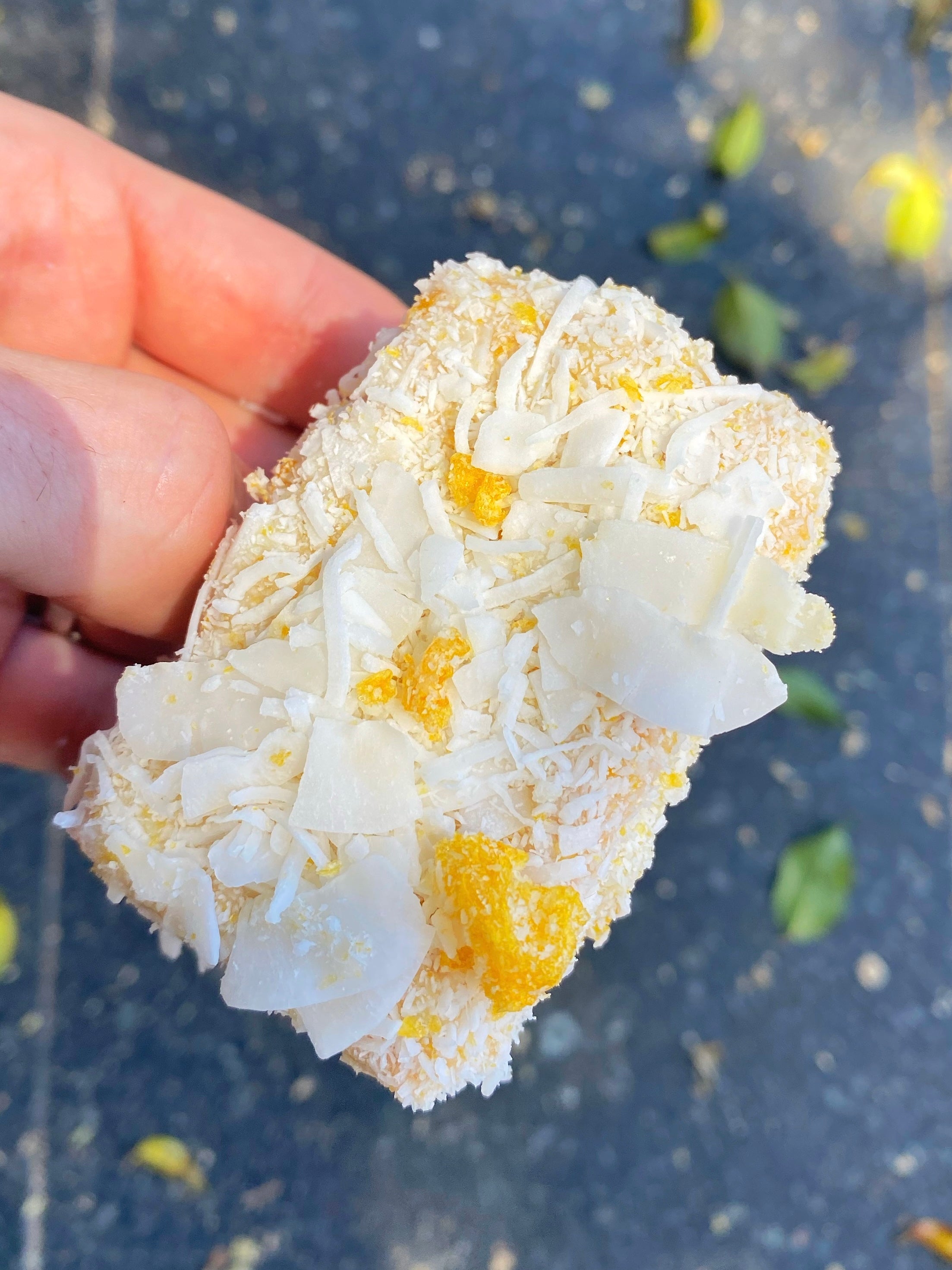 Lemon lamington - Breadfren Bakery – Breadfern Bakery